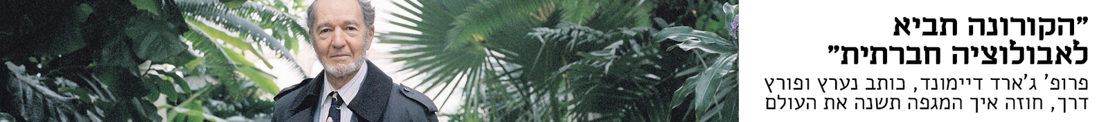 יותר זה יותר: המקסימליזם מחזיר אותנו לחיים | מוסף כלכליסט